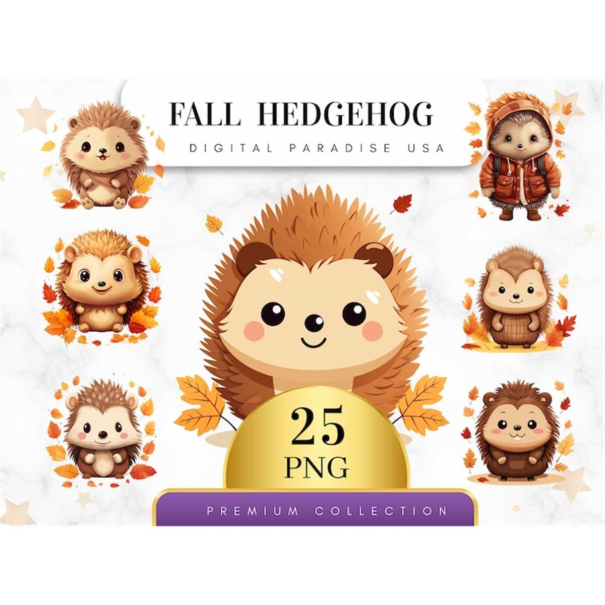 Set of 25, Fall Hedgehog Clipart, Hedgehog PNG, Autumn Anima | Inspire ...