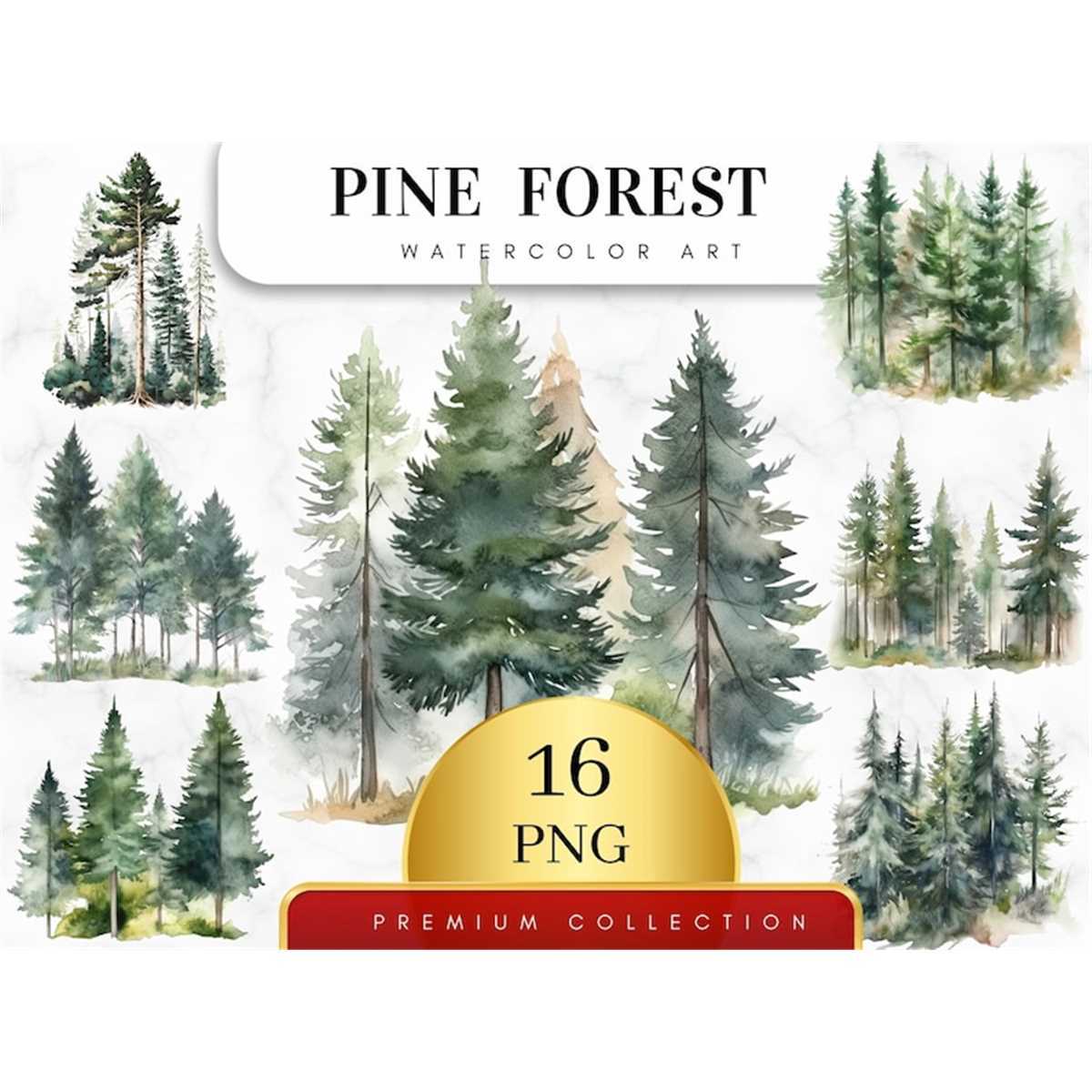 Set of 16, Watercolor Forest Tree Clipart, Pine Tree Png , W | Inspire ...