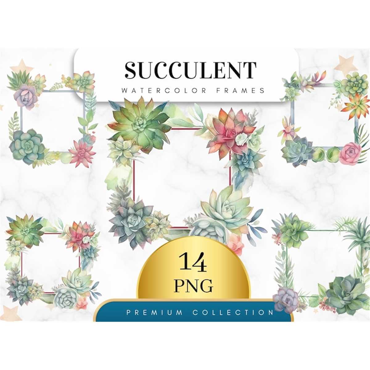 Set of 14, Watercolor Succulent Plant Frame. Spring Flowers, | Inspire ...