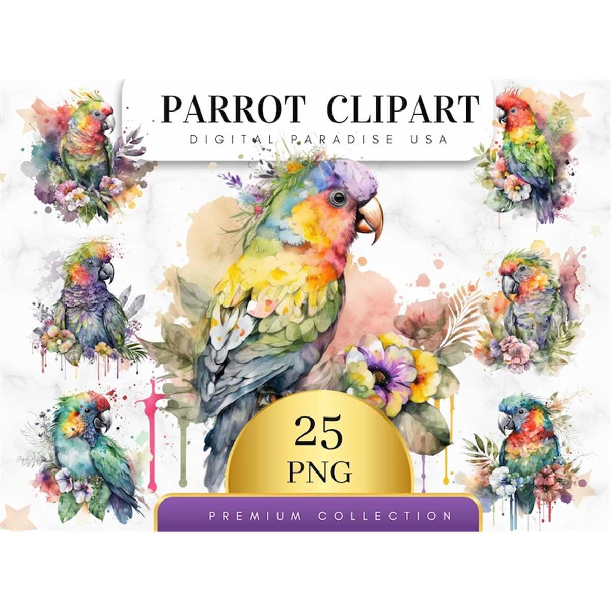 Set of 25, Watercolor Parrot Clipart, Tropical Bird PNG, Exo - Inspire ...