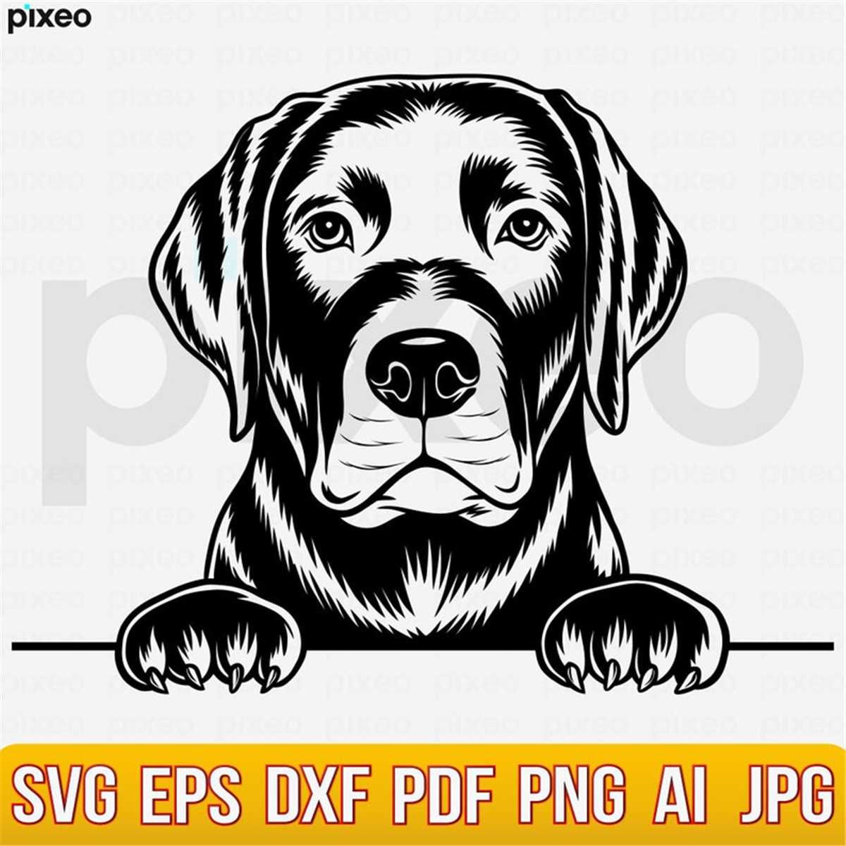 Labrador Svg, Labrador Retriever Svg, Labrador Clipart, Labr | Inspire ...