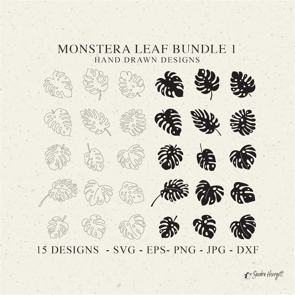 Monstera Leaf Plotter File Svg Dxf Png Eps Jpg Tropical Cric | Inspire ...