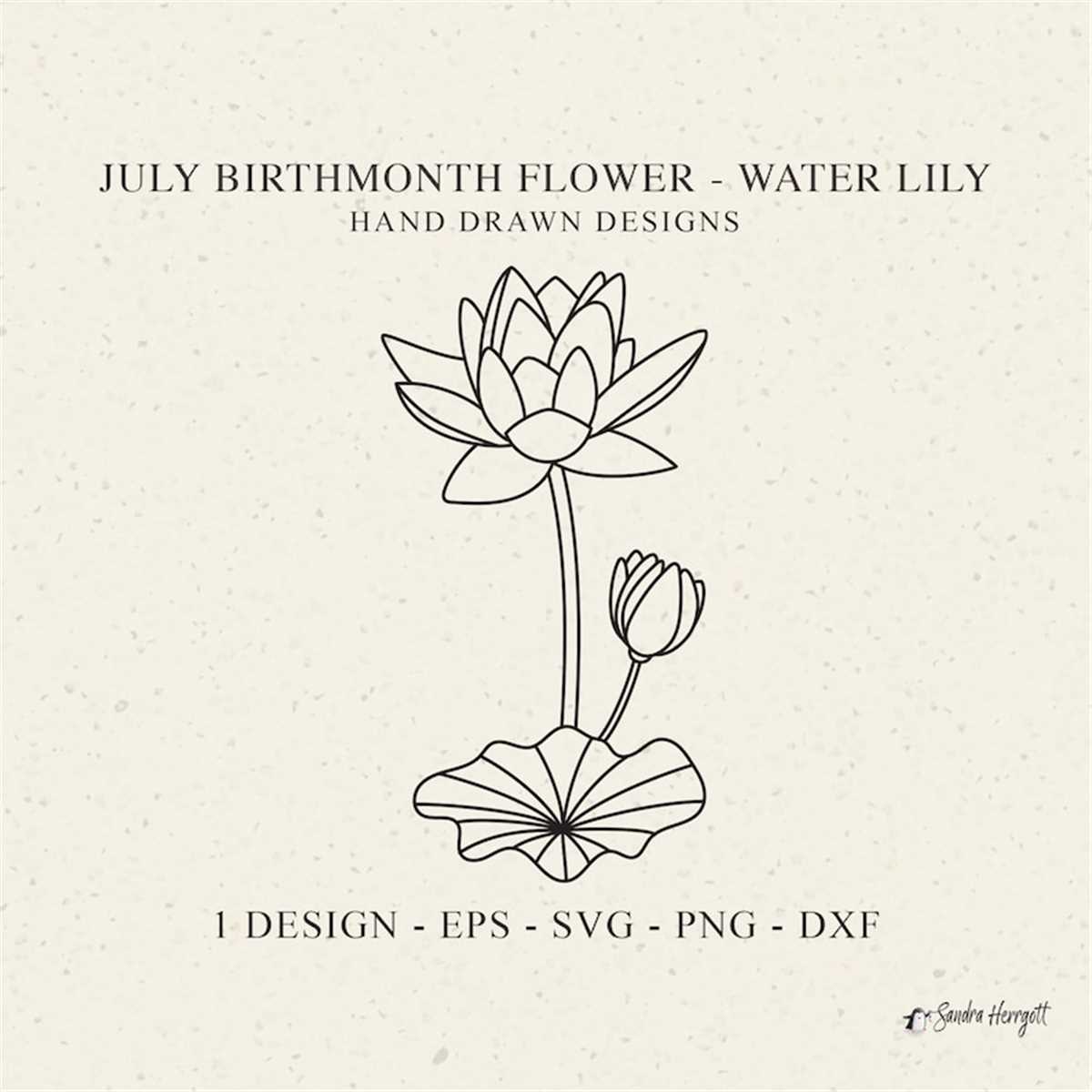 Water Lily Birth Month Flower Plotter File Svg Dxf Png Eps J | Inspire ...