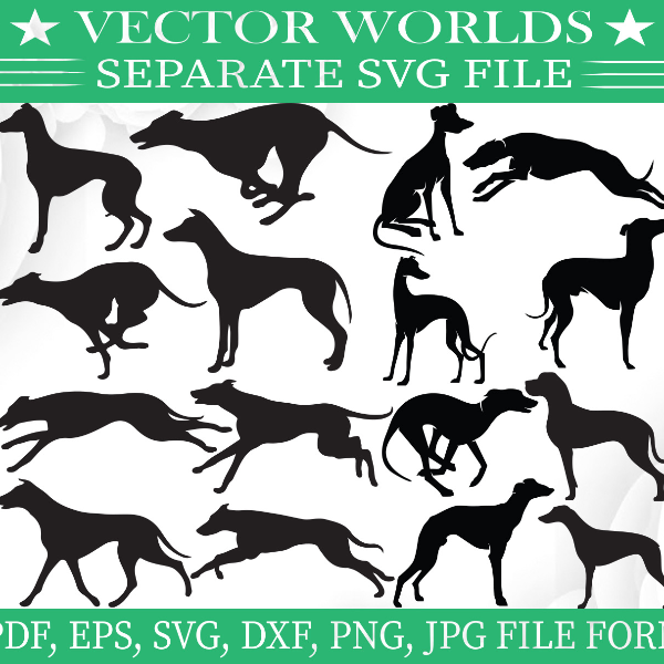 Greyhound Dog svg, Greyhound Dogs svg, Greyhound, Dog, SVG, | Inspire ...