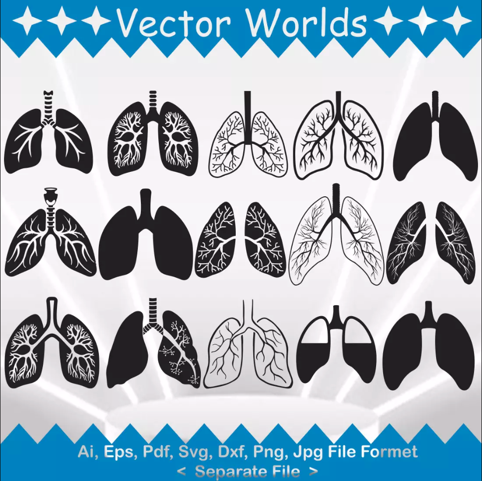 Human Lung svg, Human Lungs svg, Human, Lung, SVG, ai, pdf, - Inspire ...