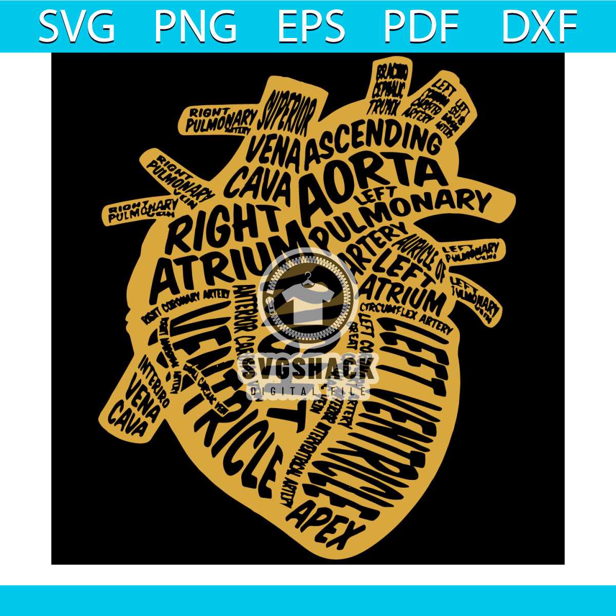 Cardiac Svg | Inspire Uplift