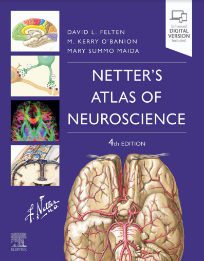 Netter's Atlas of Neuroscience Netter Basic Science 4th Edit | Inspire ...