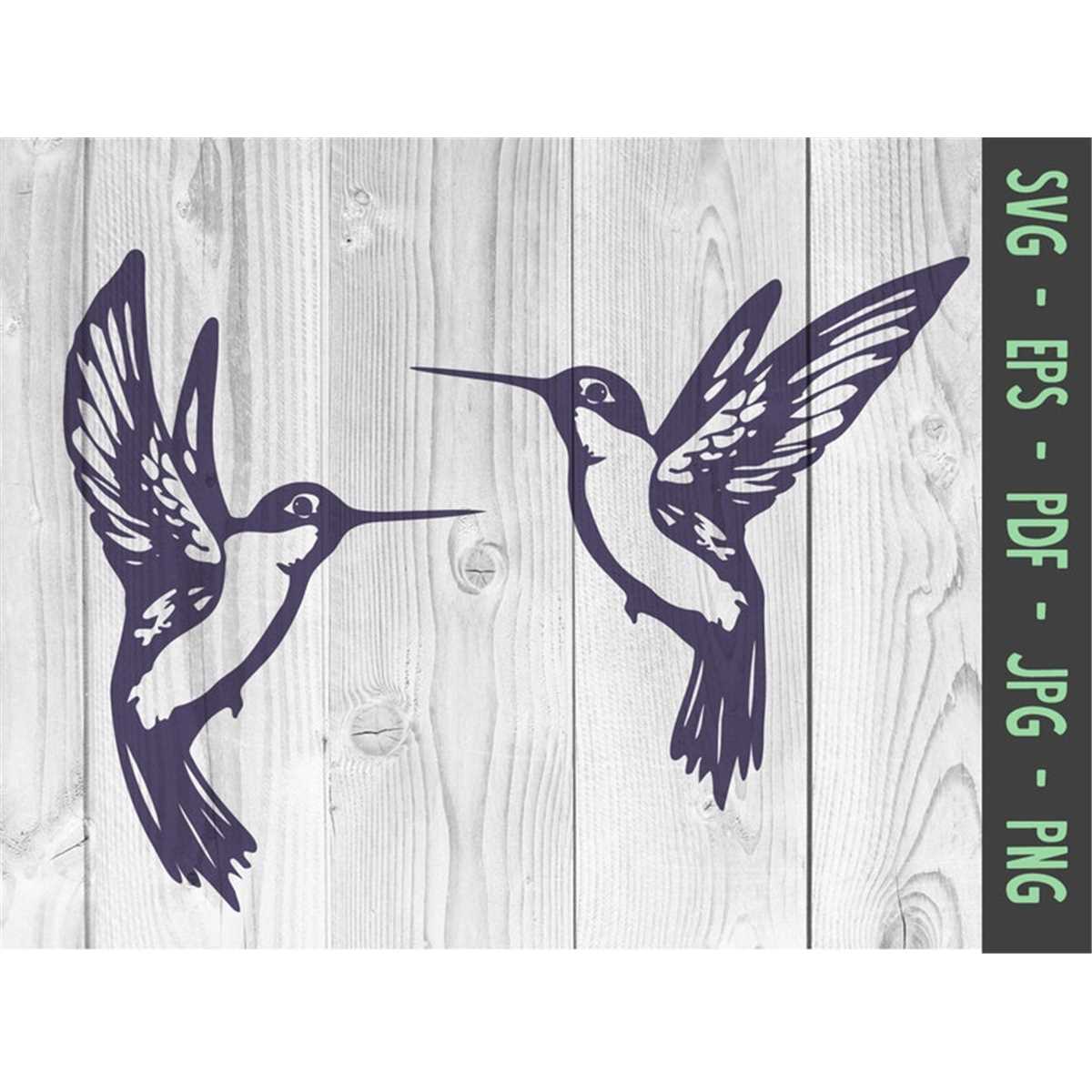 Hummingbird svg png, Bird SVG PNG, Hummingbirds Svg, Humming | Inspire ...