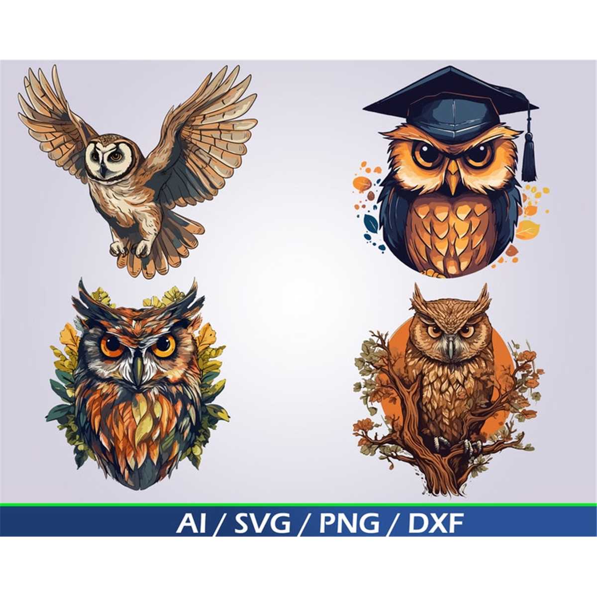 Owl SVG Digital Download Bundle, Graduation Owl png, flying | Inspire ...