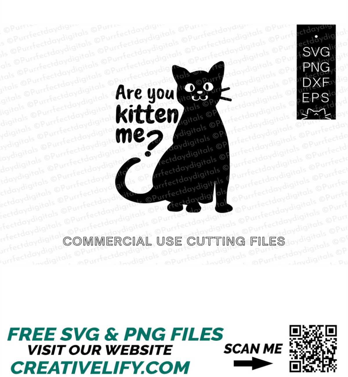 Are you kitten me svgSitting Cat svg cutting filesBlack cat | Inspire ...