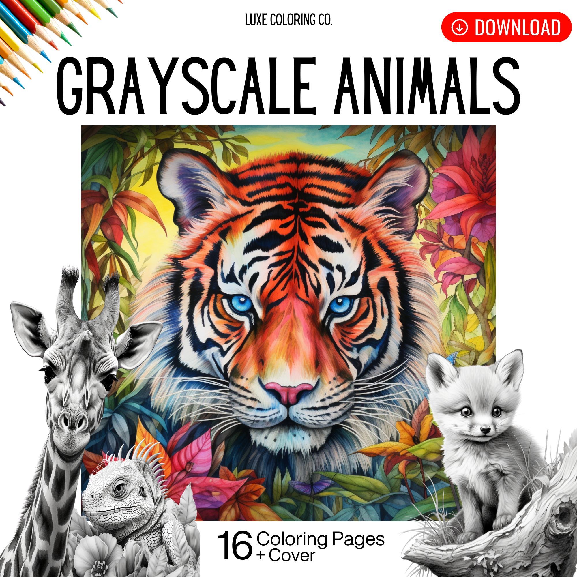 Grayscale Cute Animals Coloring Pages | Colouring Books | Co | Inspire ...