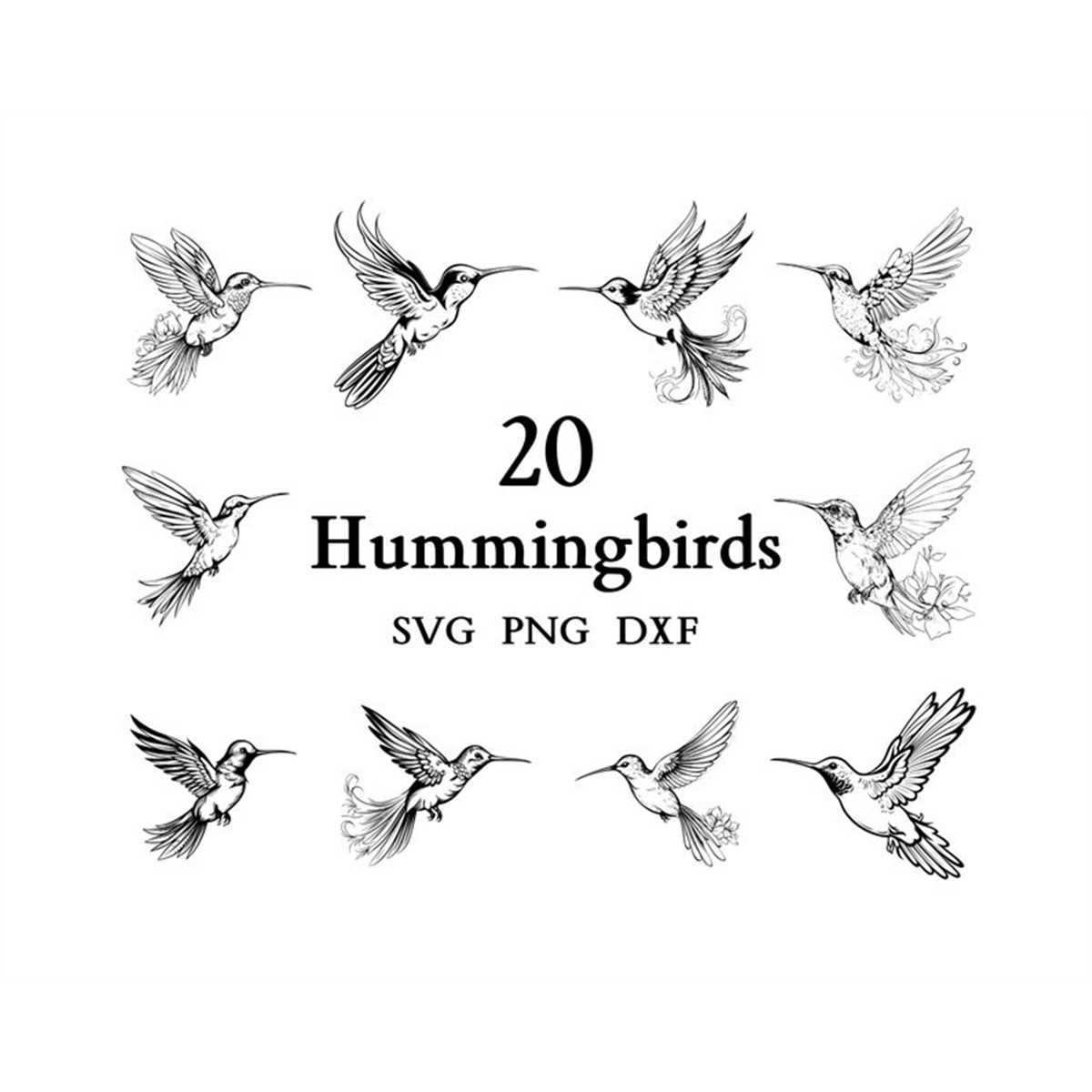 Hummingbird Svg Bundle , Hummingbird Svg , Cut Files for Cri | Inspire ...