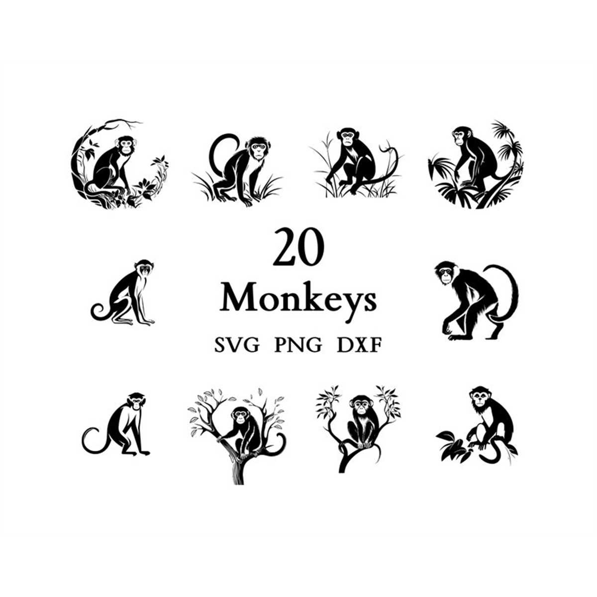 Monkey Svg, Monkey Bundle, Monkey clipart, Monkey png, Monk | Inspire Uplift
