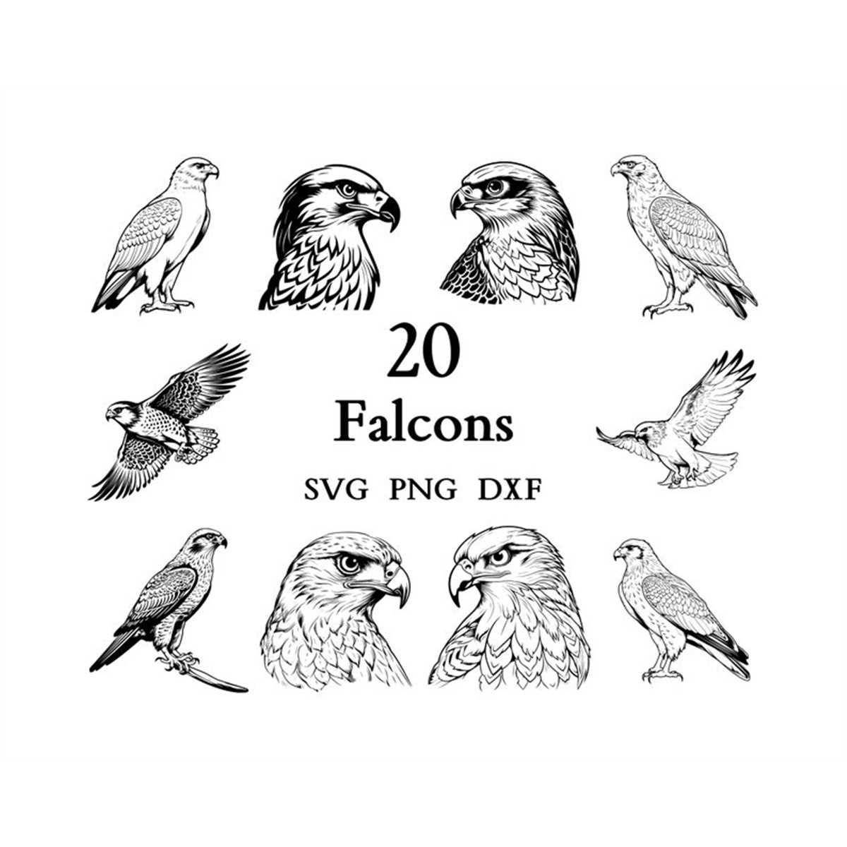 Falcon Svg Bundle , Falcon Svg , Cut Files for Cricut And La | Inspire ...