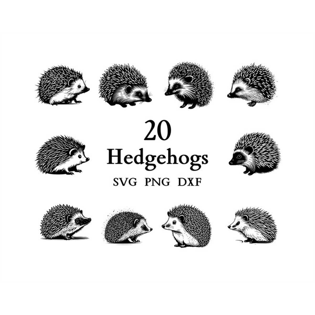 Hedgehog Svg, Hedgehog Bundle, Hedgehog clipart, Hedgehog pn | Inspire ...