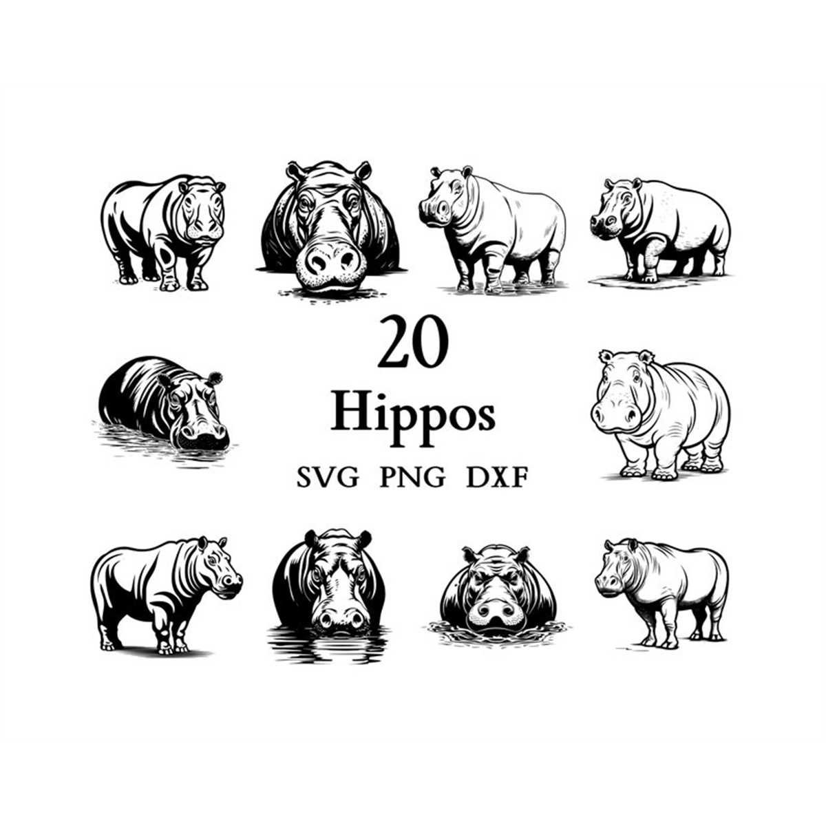 Hippo Svg Bundle , Hippo Svg , Cut Files for Cricut And Lase | Inspire ...