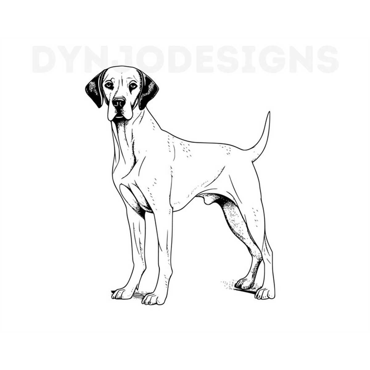 English Pointer Svg, English Pointer Clipart, English Pointe | Inspire ...