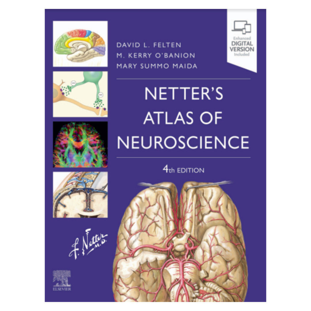 Netter's Atlas of Neuroscience (Netter Basic Science) 4th Ed | Inspire ...