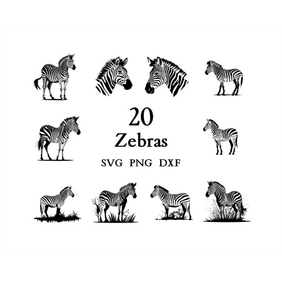 Zebra Svg, Zebra Bundle, Zebra clipart, Zebra png, Zebra Cu | Inspire ...