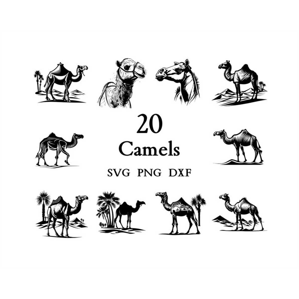 Camel Svg, Camel Bundle, Camel clipart, Camel png, Camel Cu | Inspire ...