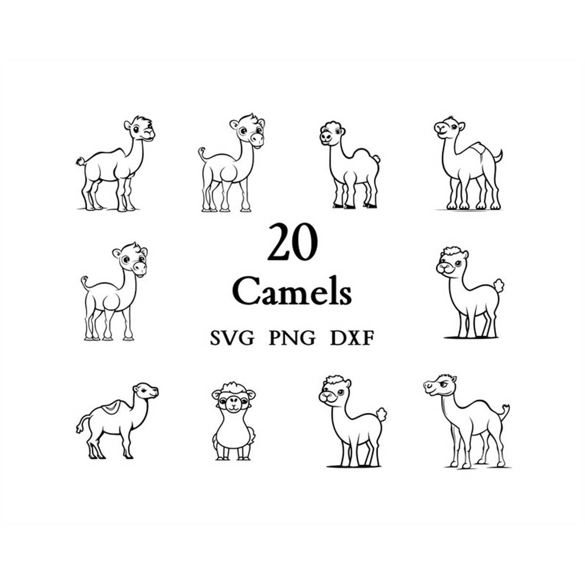 Camel Svg Bundle , Camel Svg , Cut Files for Cricut And Lase | Inspire ...