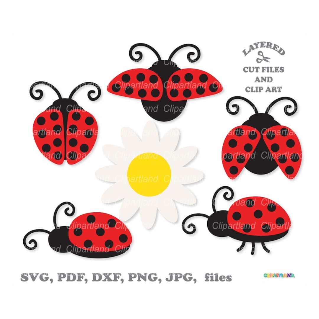 INSTANT Download. Ladybug svg. Cute ladybird svg cut file fo - Inspire ...