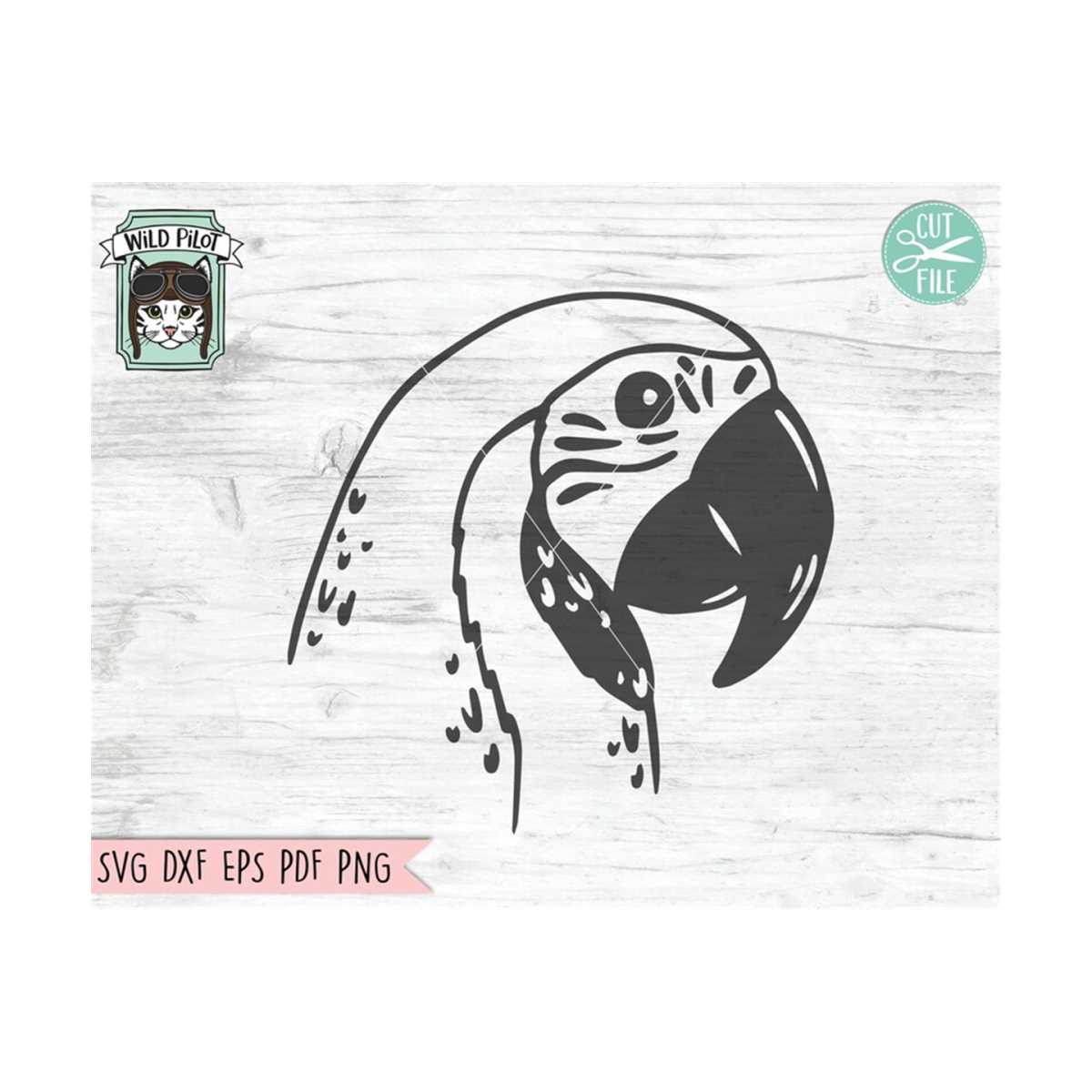 Parrot svg file, Parrot cut file, Animal Face, Parrot Face s - Inspire ...