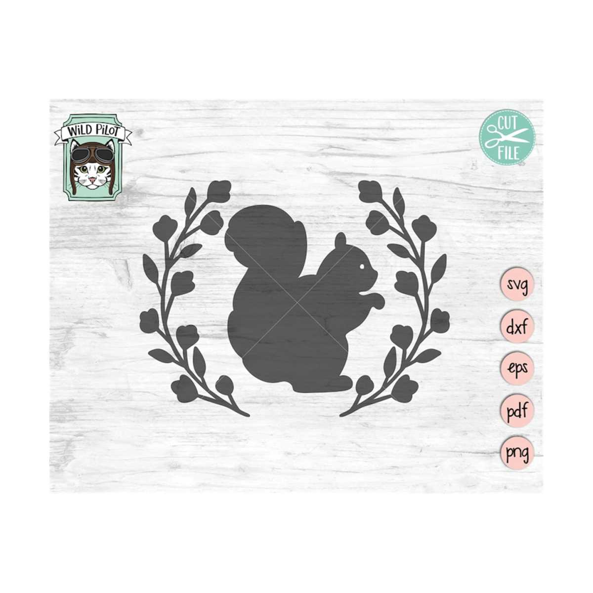 Squirrel SVG file, Squirrel Cut file, Squirrel Silhouette sv | Inspire ...