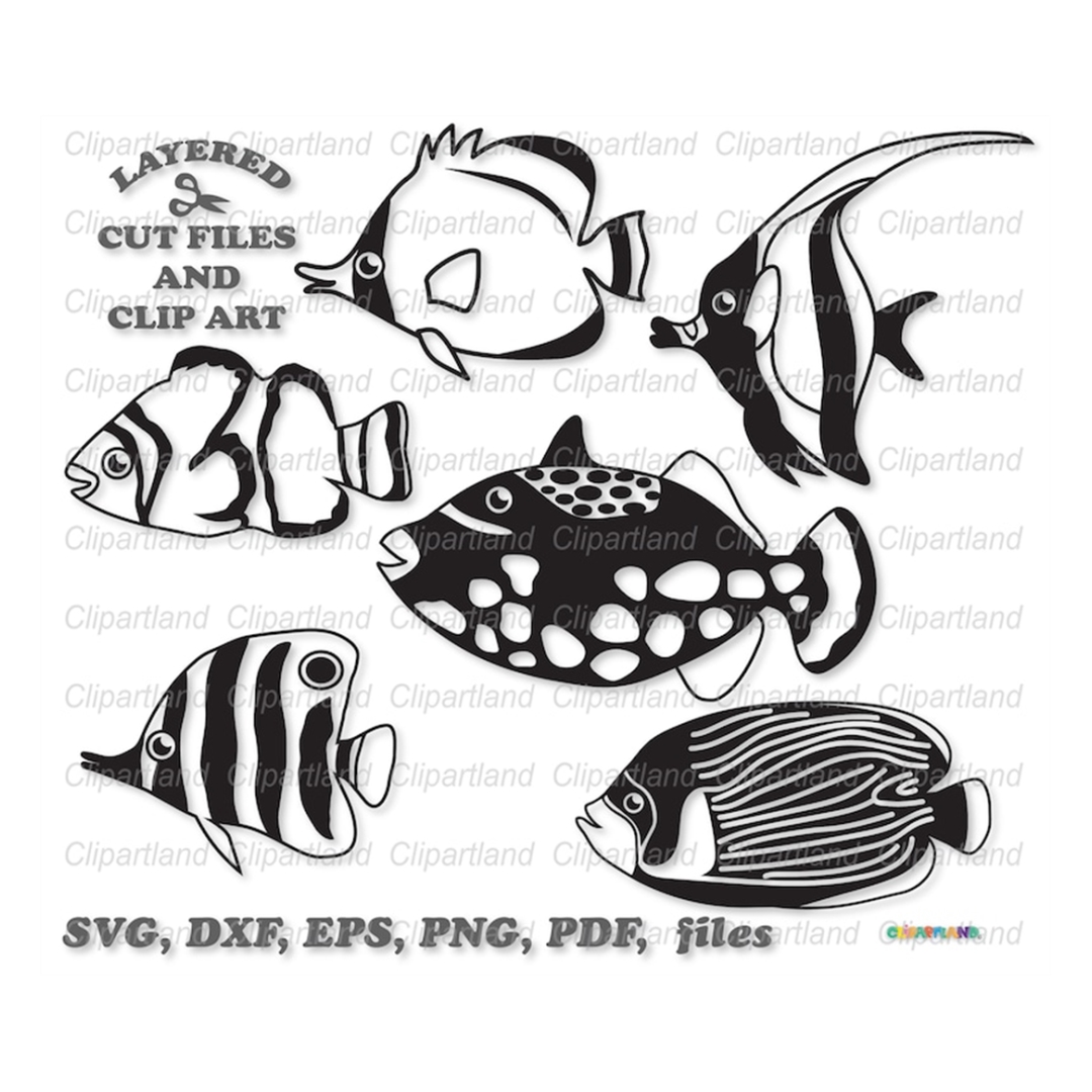 INSTANT Download. Sea fish svg cut file and clip art. Commer | Inspire ...