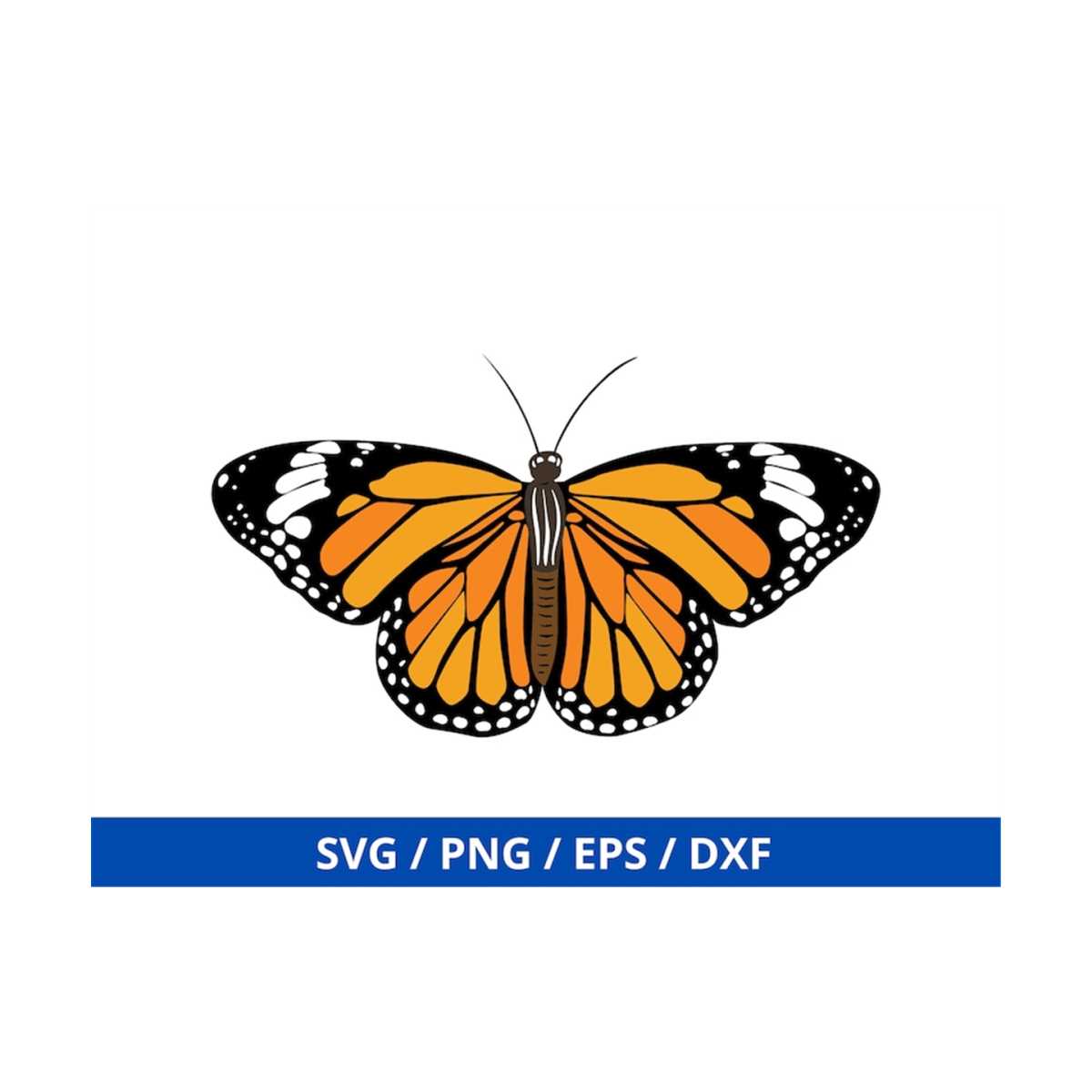 Butterfly SVG, Butterflies Svg, Butterfly, Monarch Butterfly | Inspire ...