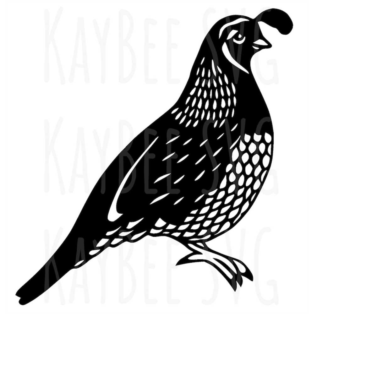 Quail Bird SVG PNG JPG Clipart Digital Cut File Download for - Inspire ...
