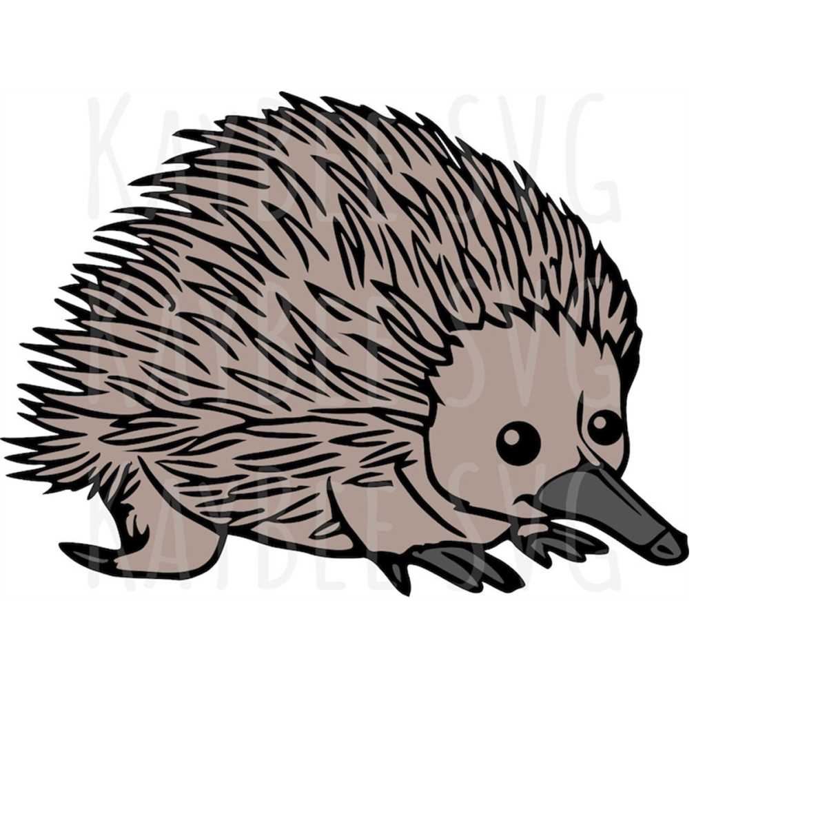 Echidna SVG PNG JPG Clipart Digital Cut File Download for Cr - Inspire Uplift