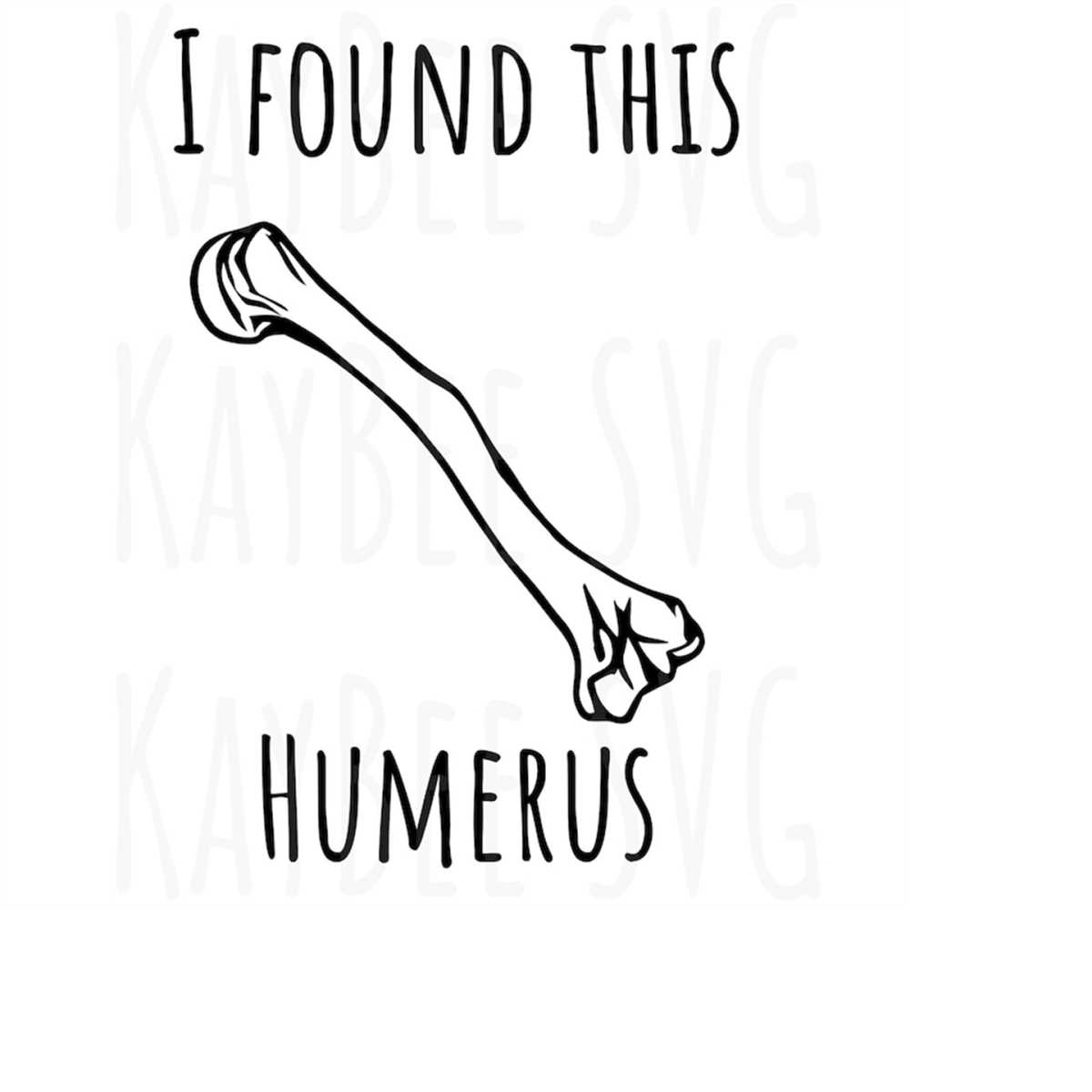 I Found This Humerus - Realistic Humerus Bone - Doctor Joke | Inspire ...