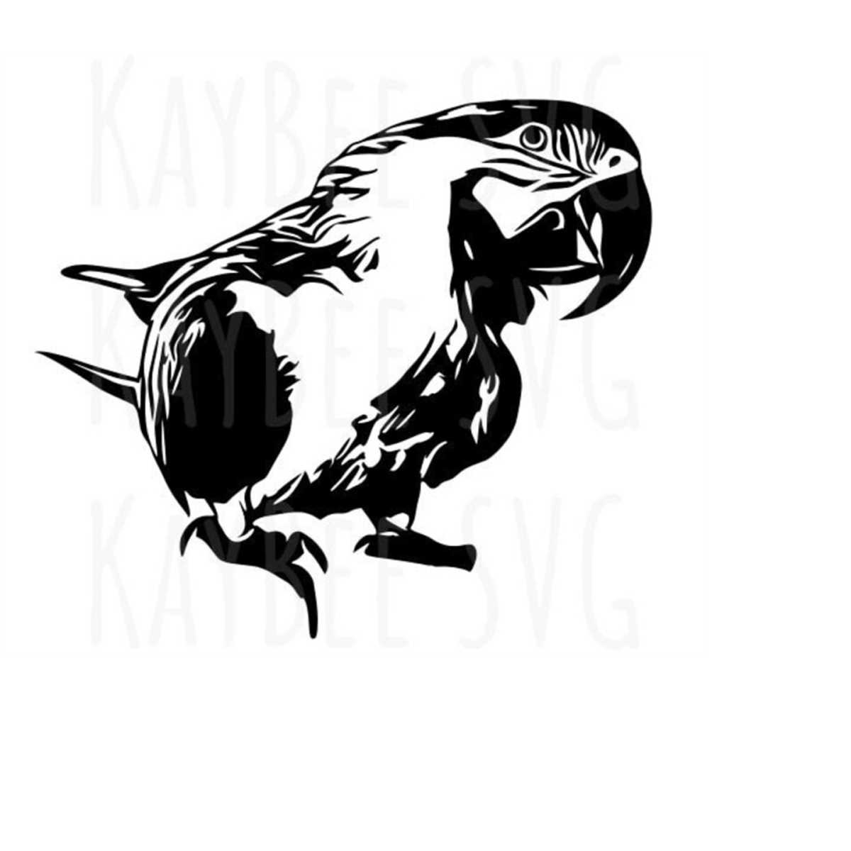 Macaw Parrot Bird SVG PNG JPG Clipart Digital Cut File Downl - Inspire ...