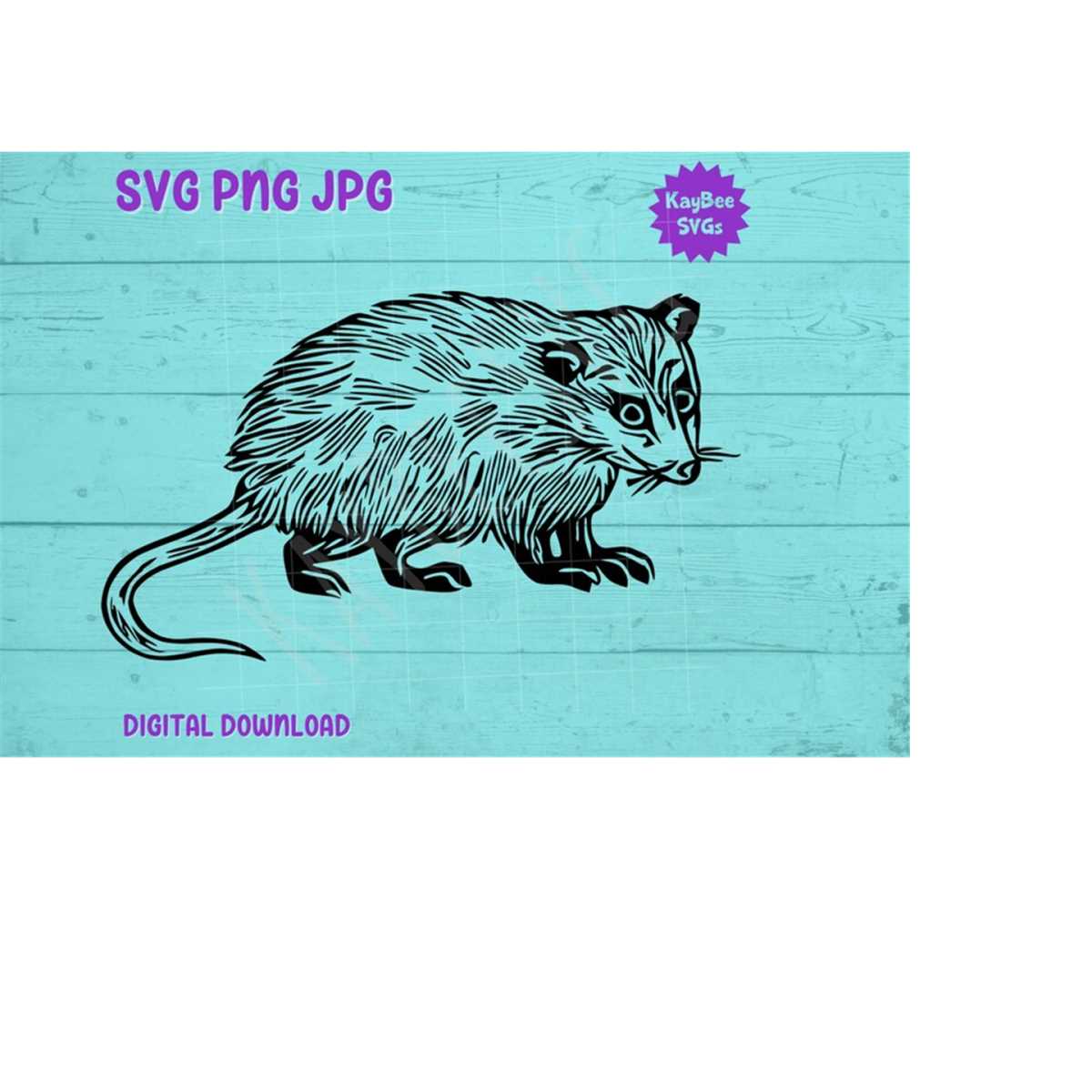 Opossum Possum SVG PNG JPG Clipart Digital Cut File Download - Inspire ...