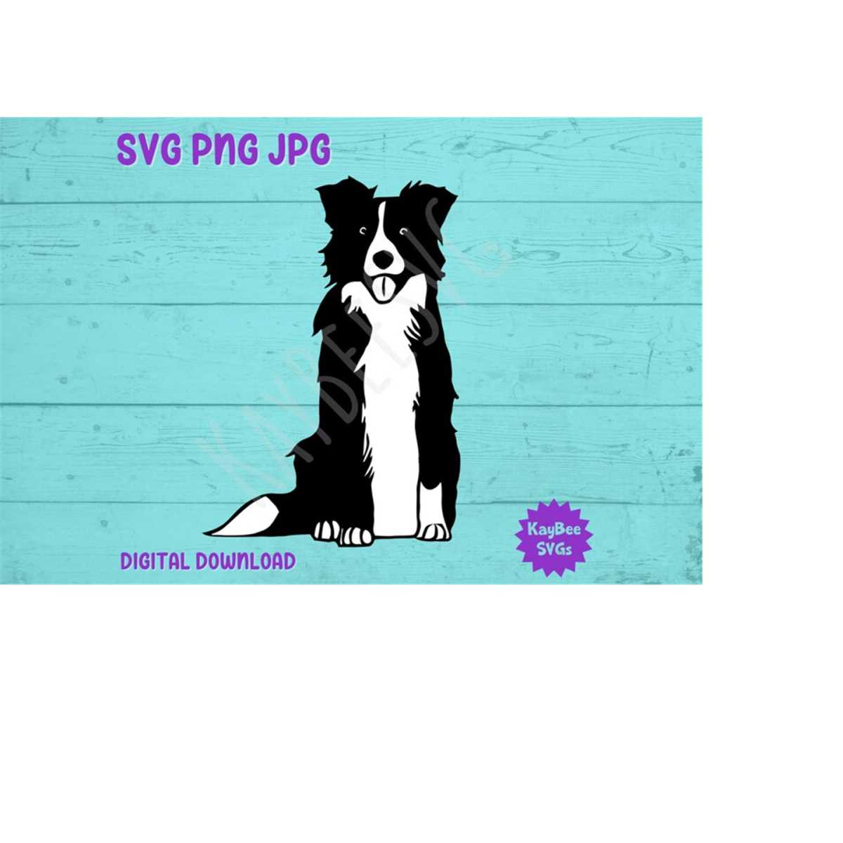 Border Collie Dog SVG PNG JPG Clipart Digital Cut File Downl - Inspire ...