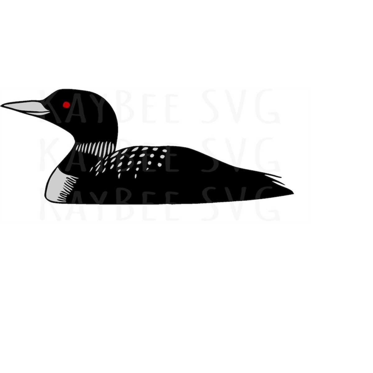 Loon Water Bird SVG PNG JPG Clipart Digital Cut File Downloa | Inspire ...
