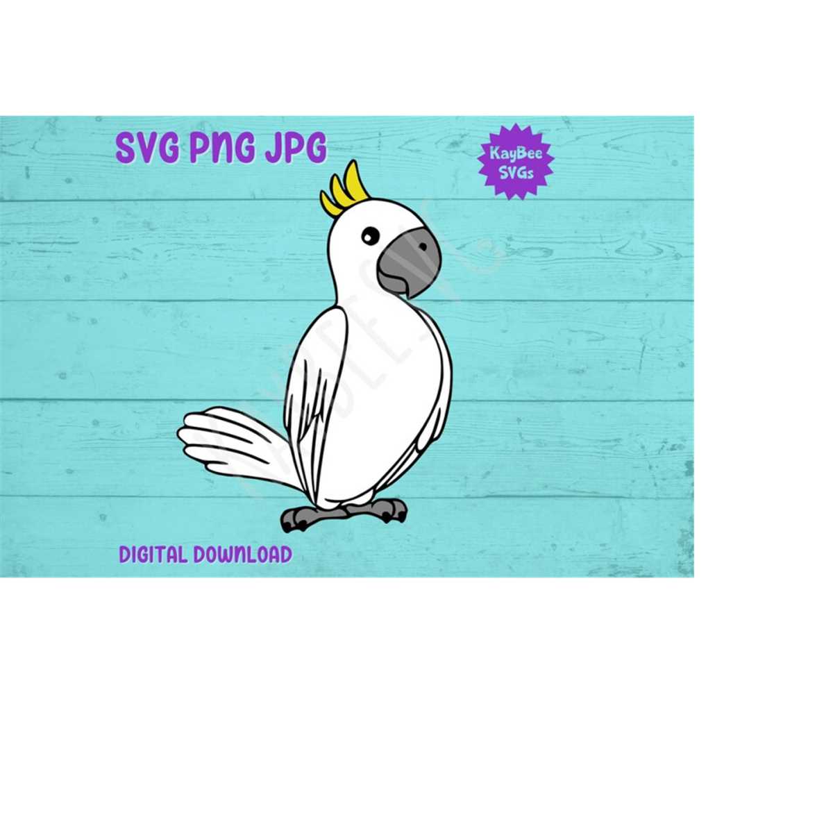Cockatoo Parrot Bird SVG PNG JPG Clipart Digital Cut File Do - Inspire ...