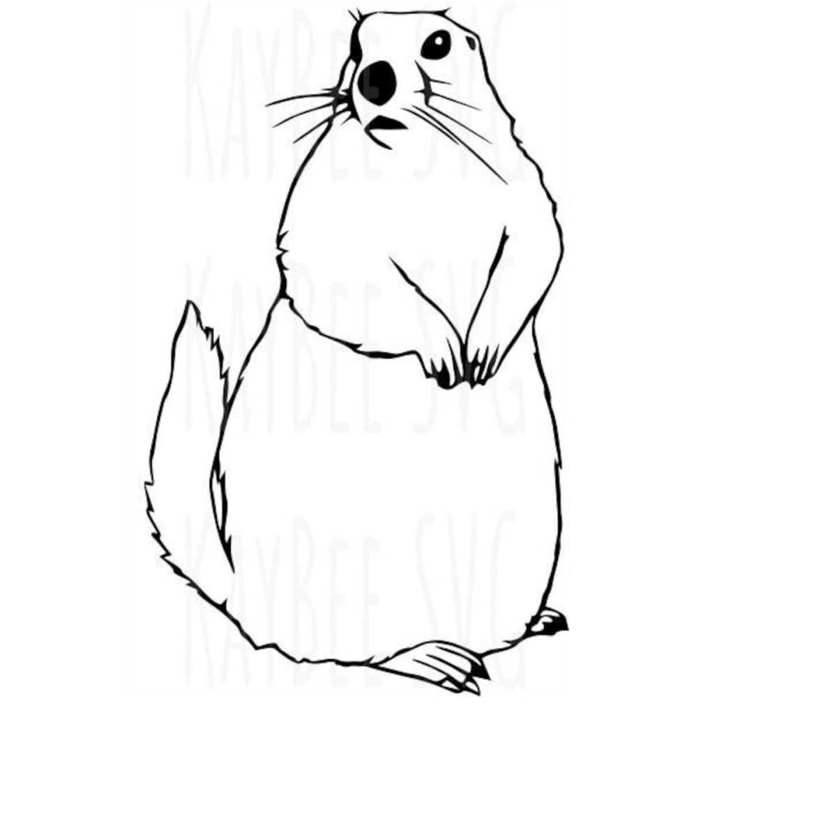 Gopher Groundhog SVG PNG JPG Clipart Digital Cut File Downlo | Inspire ...