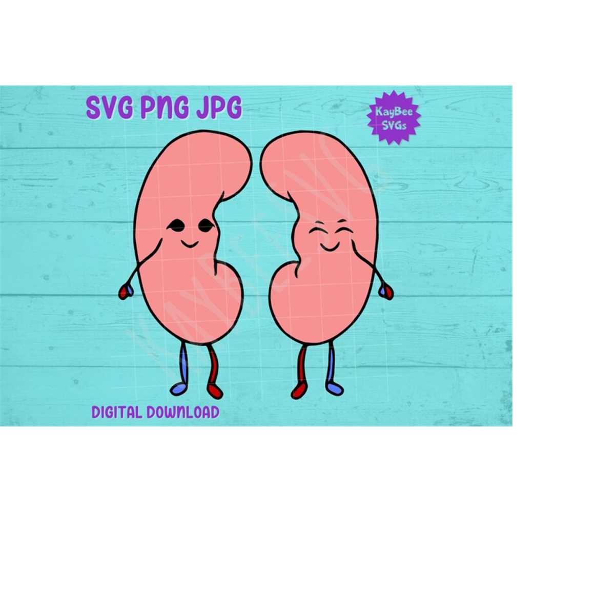 Cute Kidneys SVG PNG Jpg Clipart Digital Cut File Download f | Inspire ...