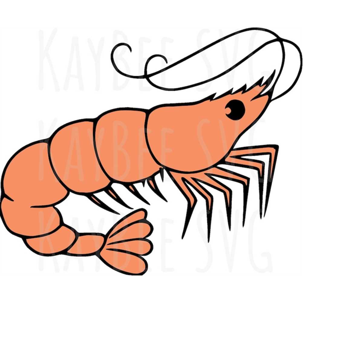Shrimp SVG PNG JPG Clipart Digital Cut File Download for Cri - Inspire ...