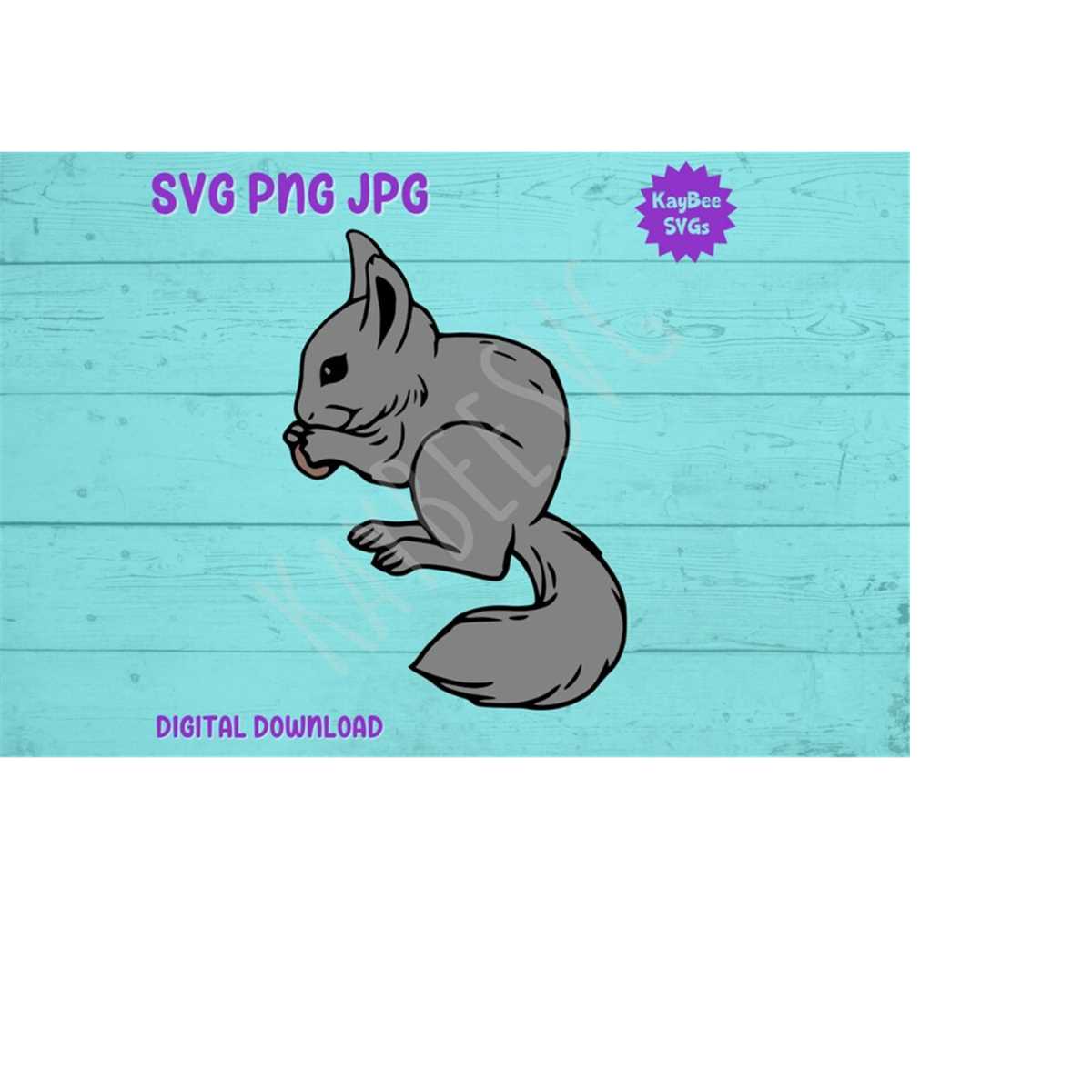 Chinchilla SVG PNG JPG Clipart Digital Cut File Download for - Inspire ...
