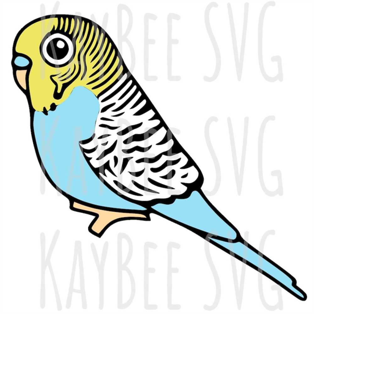Budgie Parakeet Bird SVG PNG JPG Clipart Digital Cut File Do - Inspire ...