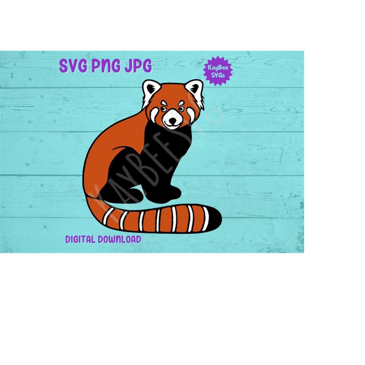 Red Panda SVG PNG JPG Clipart Digital Cut File Download for - Inspire ...