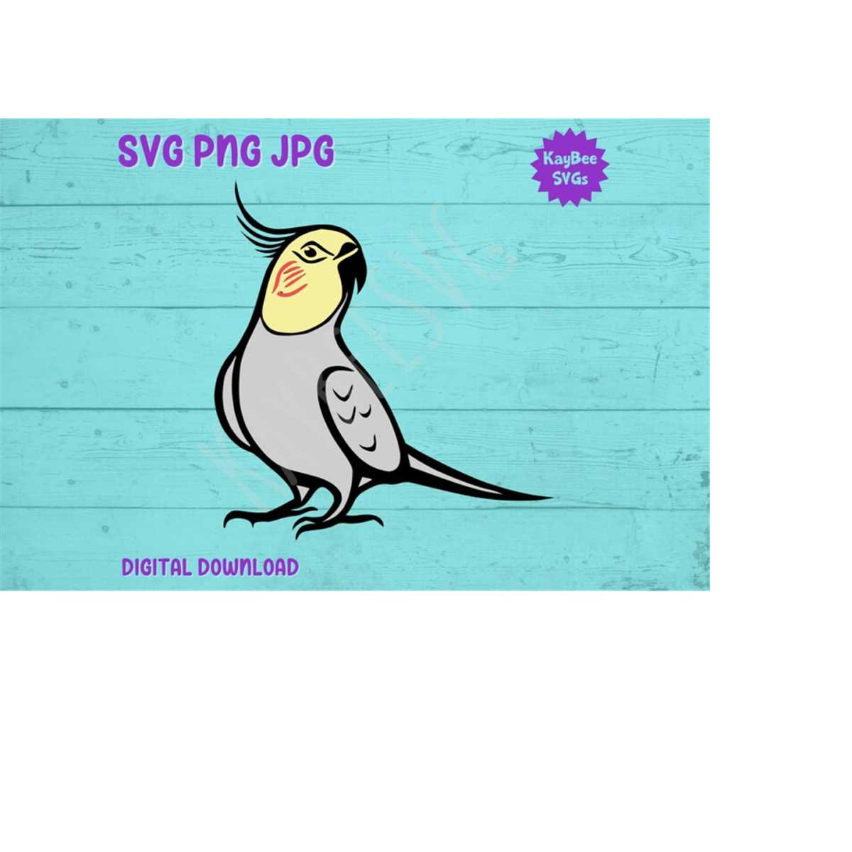Cockatiel Bird SVG PNG JPG Clipart Digital Cut File Download | Inspire ...