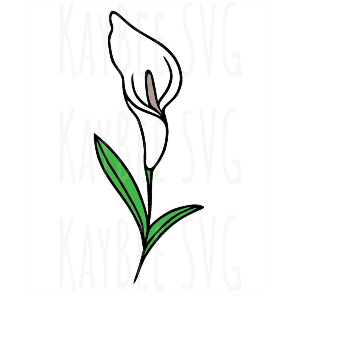 Calla Lily Flower SVG PNG JPG Clipart Digital Cut File Downl - Inspire ...