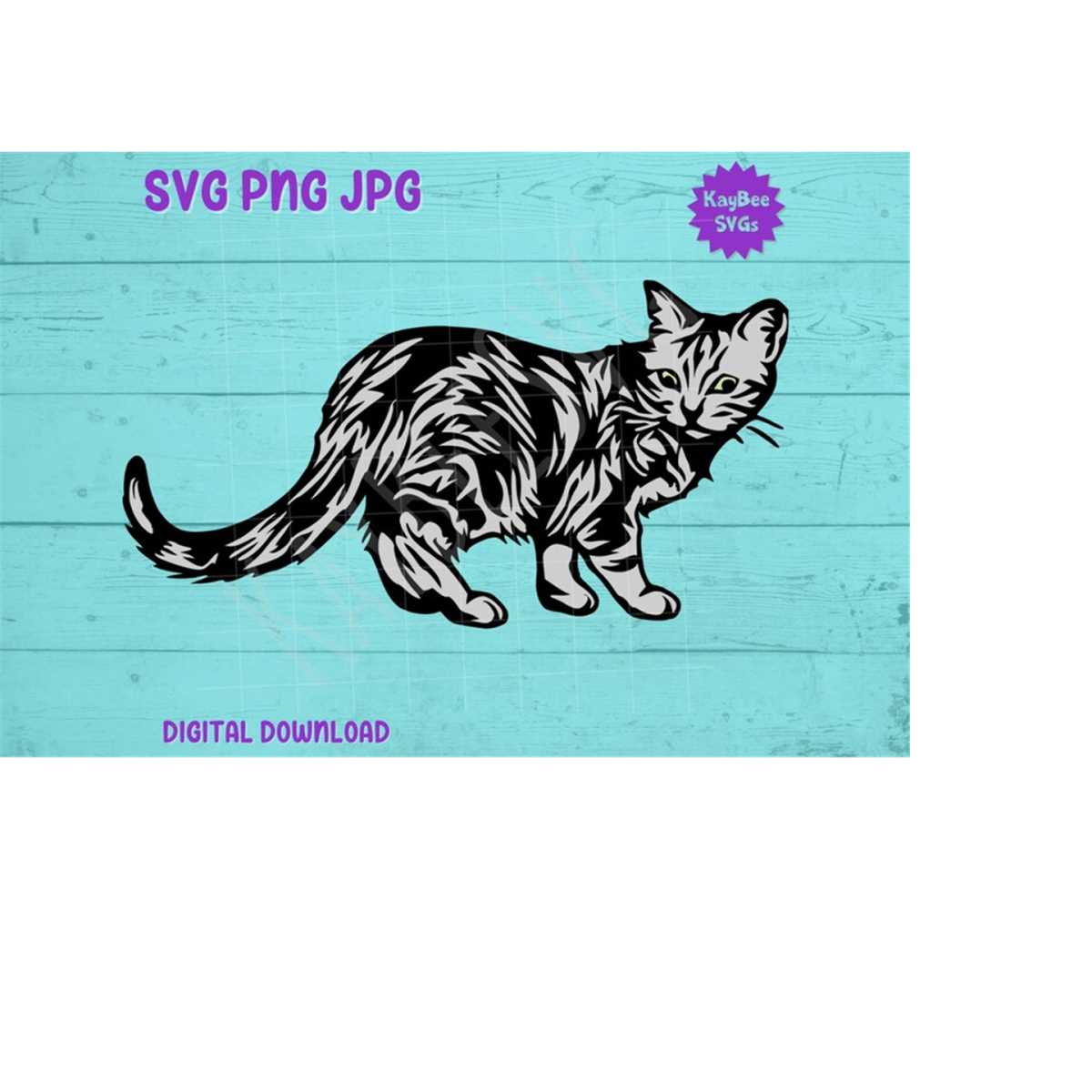 Gray Tabby Cat Kitten SVG PNG JPG Clipart Digital Cut File D - Inspire ...