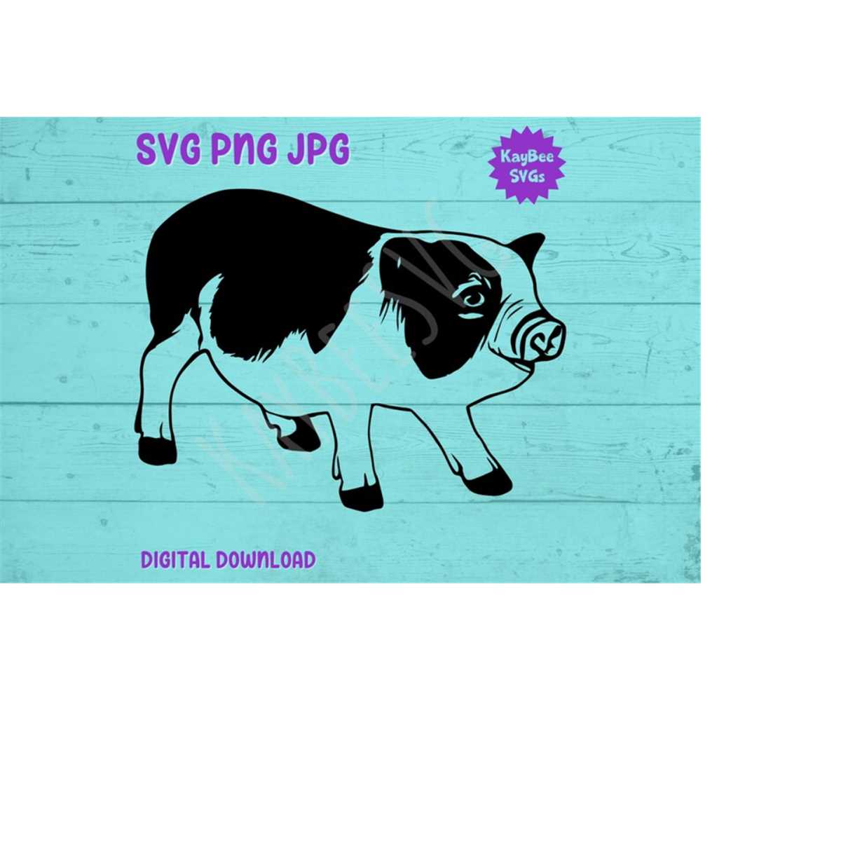 Pot-Bellied Pig SVG PNG JPG Clipart Digital Cut File Downloa - Inspire ...