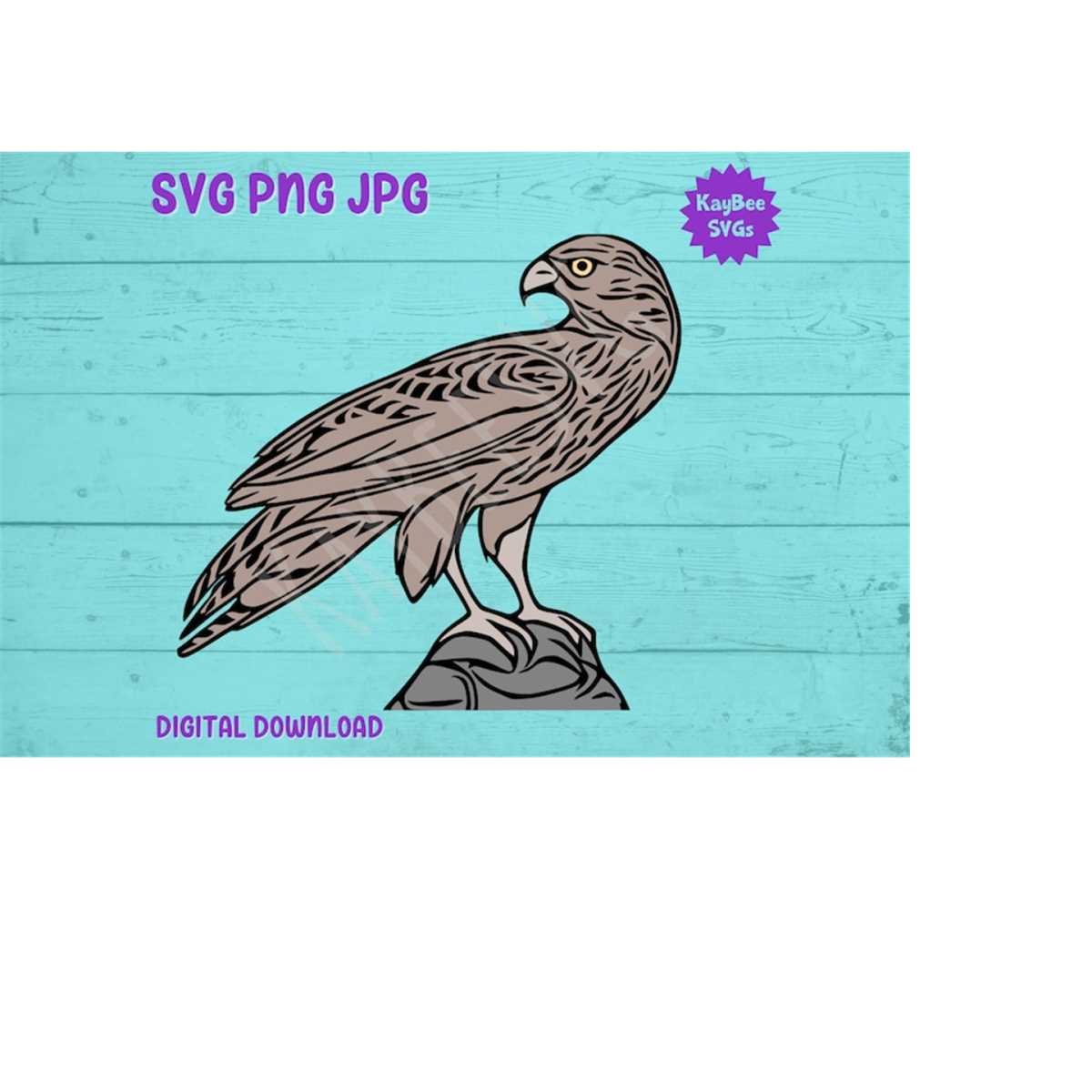 Hawk SVG PNG JPG Clipart Digital Cut File Download for Cricu - Inspire ...