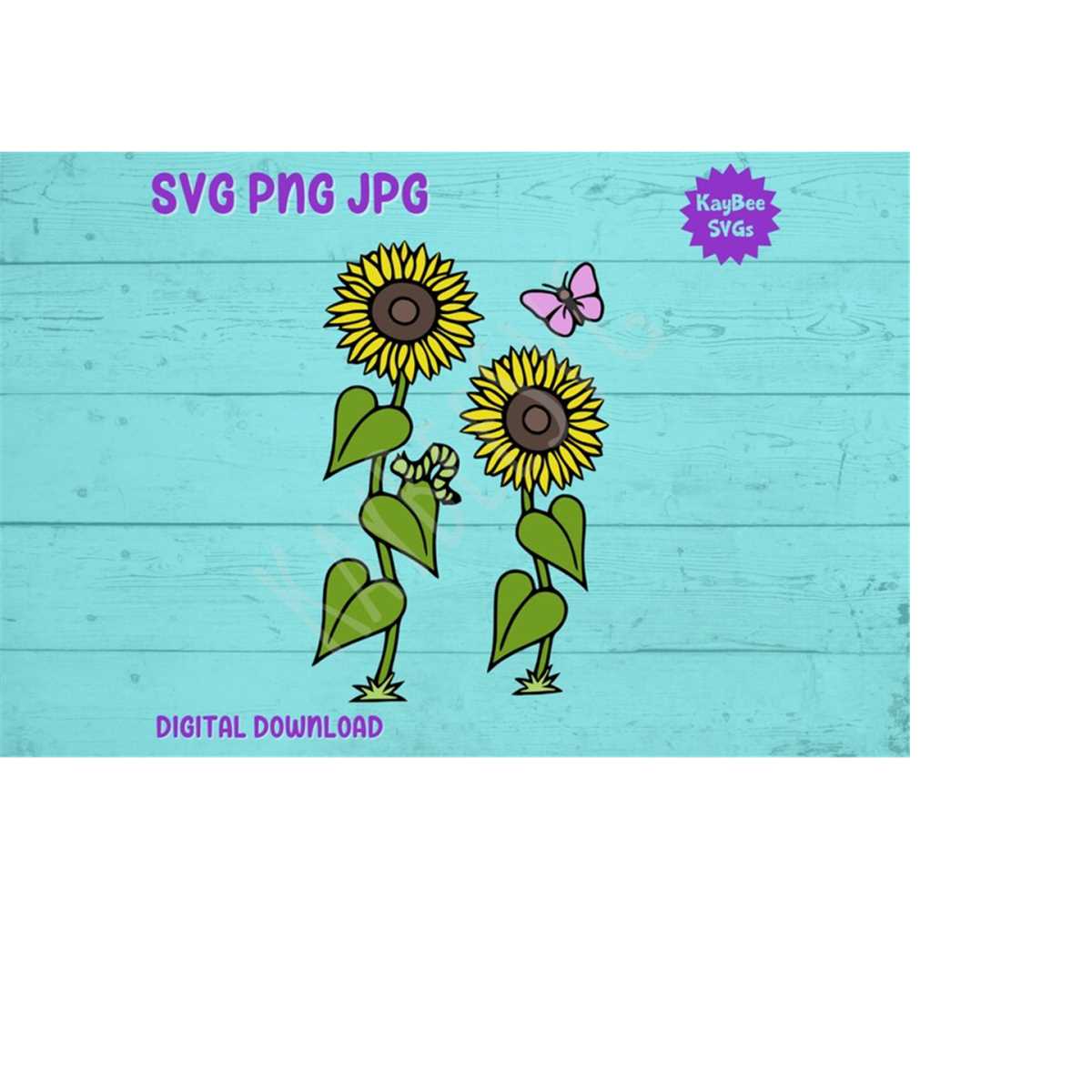 Sunflowers SVG PNG JPG Clipart Digital Cut File Download for | Inspire ...